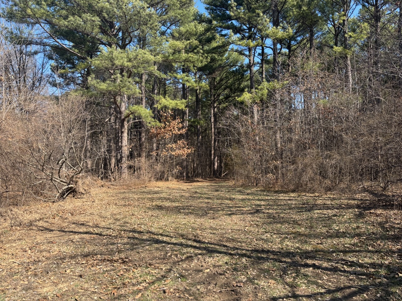 L-300 ~ 70 Acres – Co Rd 1020N, Fairfield, Illinois – Pollard Realty