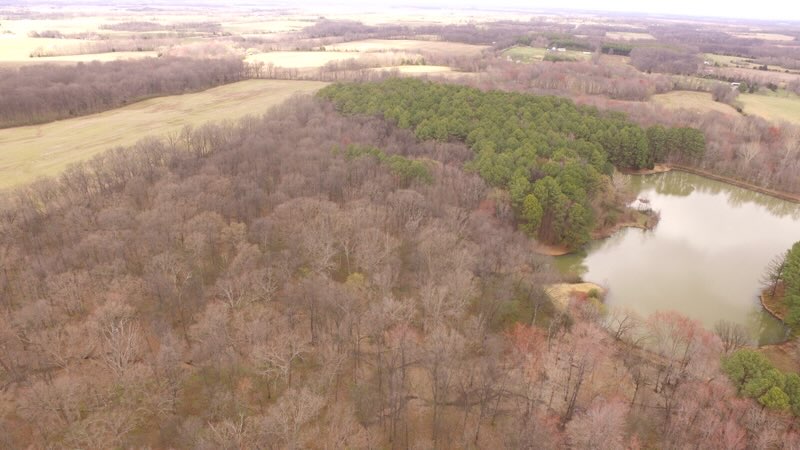 L-300 ~ 70 Acres – Co Rd 1020N, Fairfield, Illinois – Pollard Realty