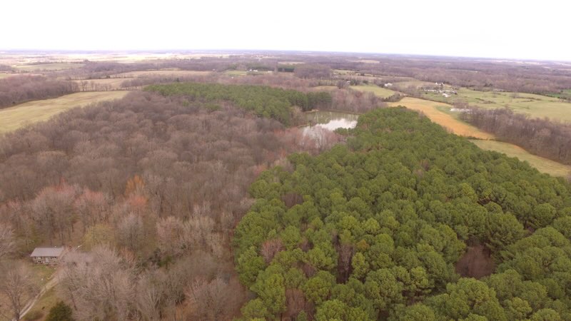 L-300 ~ 70 Acres – Co Rd 1020N, Fairfield, Illinois – Pollard Realty